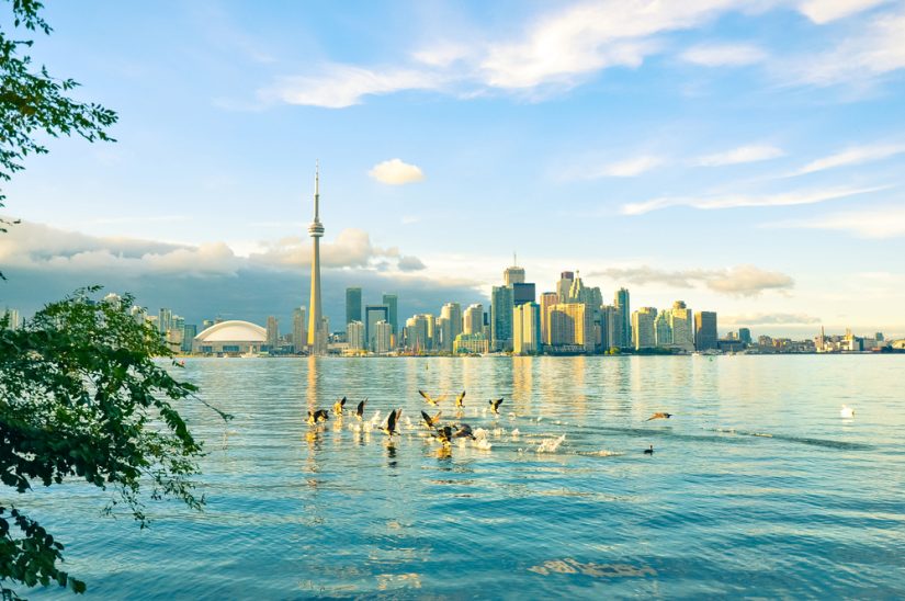 Things We Love About the Go-Green Scene in Toronto