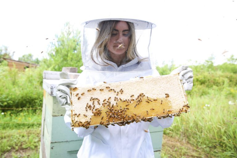 What’s Her Secret: Carly Stein of Wellness Brand Beekeeper’s Naturals ...