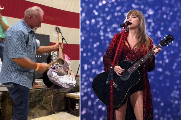 Make It Stop: Guitar-Gate (Taylor's Version) - 29Secrets
